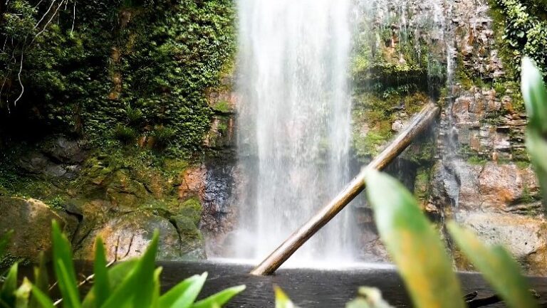 How Does Mother Nature Filter Water? - Allini Water Filters